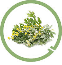 Antiparazitni program po originalnom receptu Dr. Hilde Clark