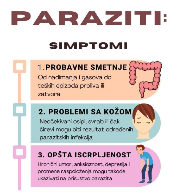 Paraziti: Nevidljive pretnje našem organizmu